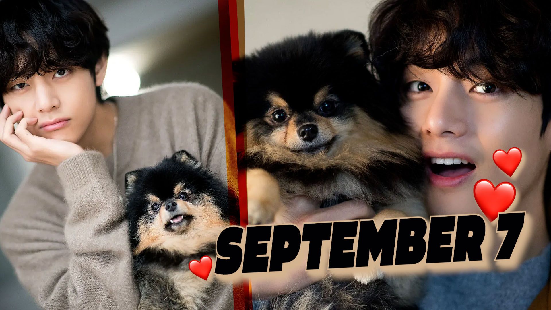 Fans worldwide honor BTS V’s late dog Yeontan｜K1 Entertainment News ...