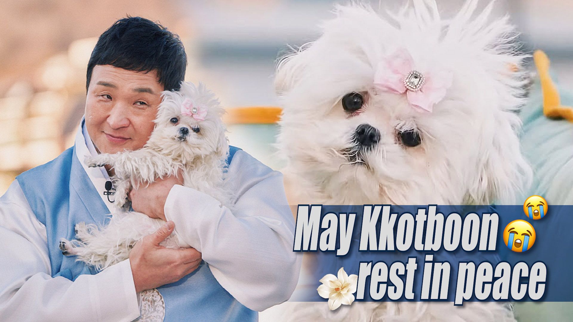 Actor Koo Sung Hwan's beloved dog Kkotboon has passed away｜K1 ...